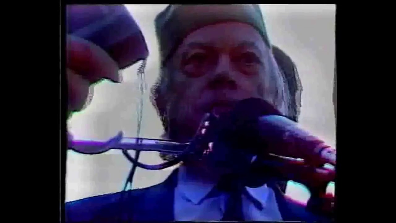 Pobuna u Kninu 1990. i kronologija neuspjelog puča - YouTube