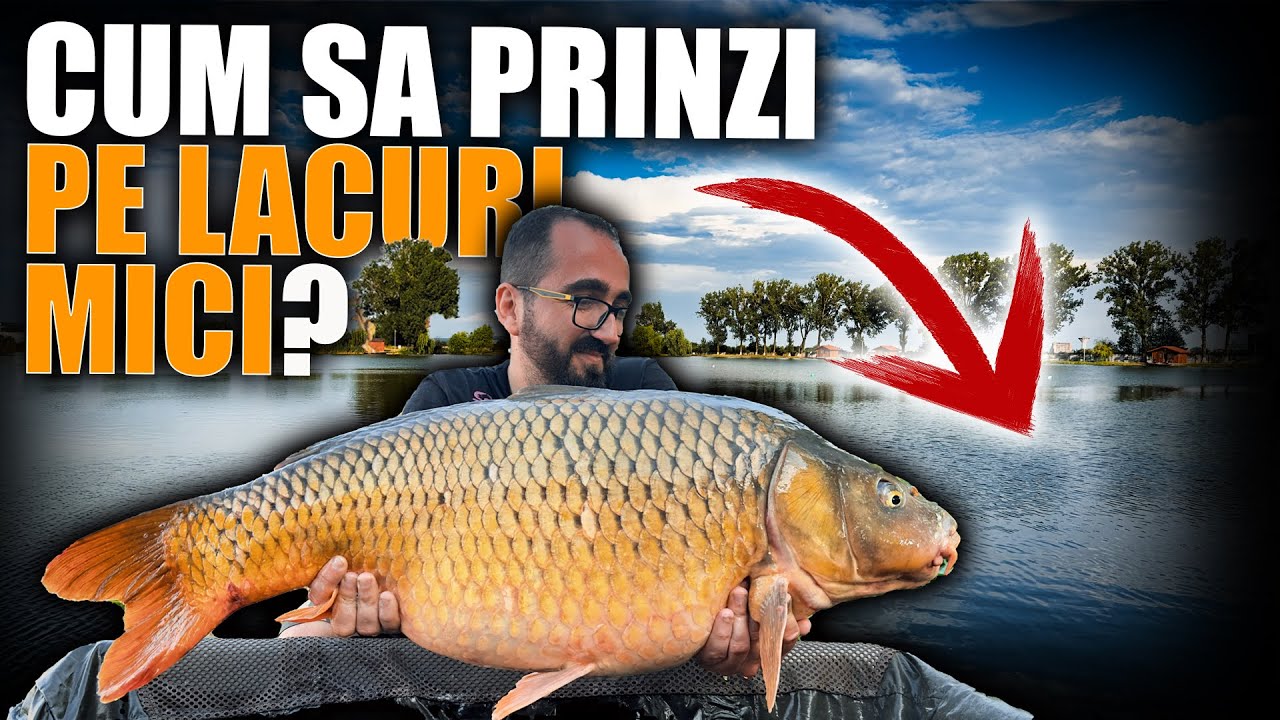 Prinde Crapi Mari pe Lacuri Mici - Pleasa - YouTube