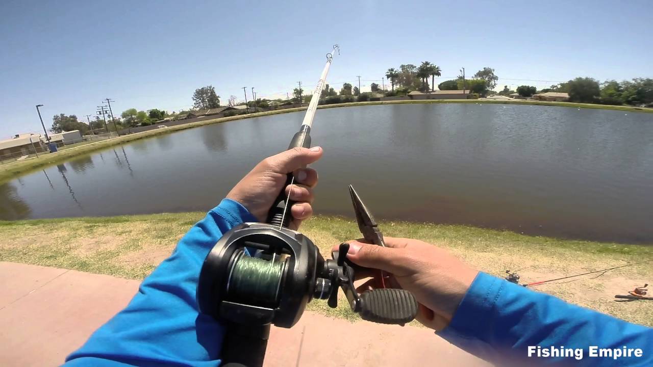 ARIZONA FISHING RECORD?! - YouTube