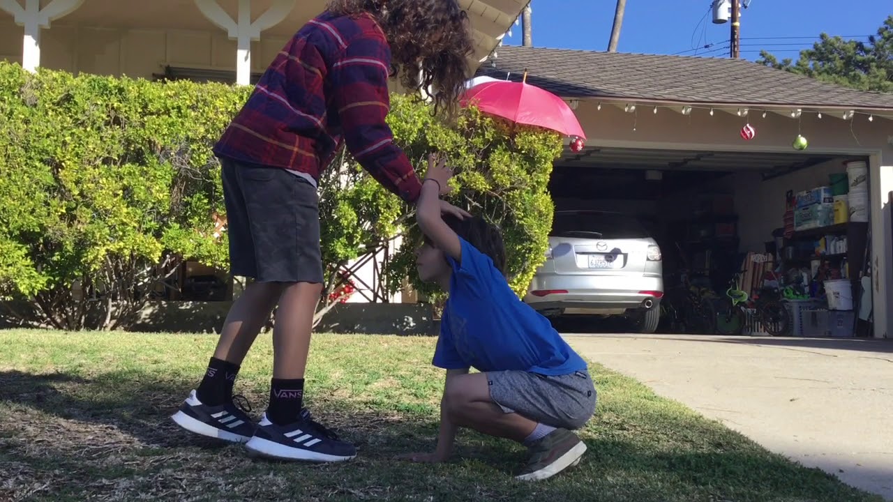 How different animals fall from high places - YouTube