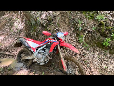 Crf 250L Gerçek İnceleme Kullanıcı Yorumu-Alınır mı?