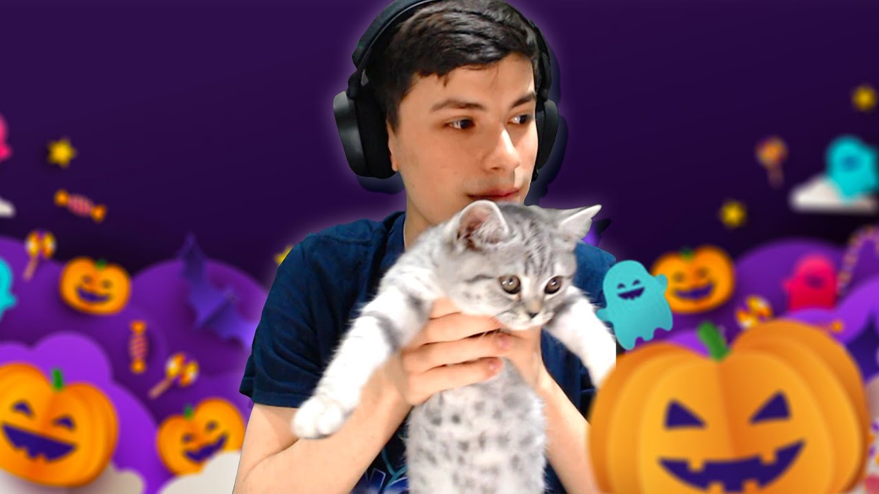 George's Cute Cat Interrupts him, In MCC 11 \\ Cutest GeorgeNotFound ...