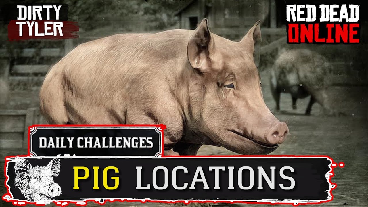 Red Dead Online Pig Locations RDO Pigs Skinned Challenge - YouTube