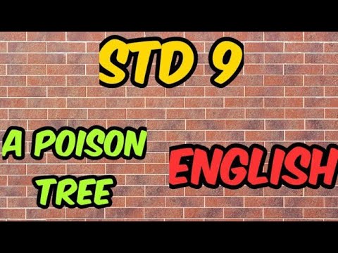 #9 | STD IX | ENGLISH - YouTube