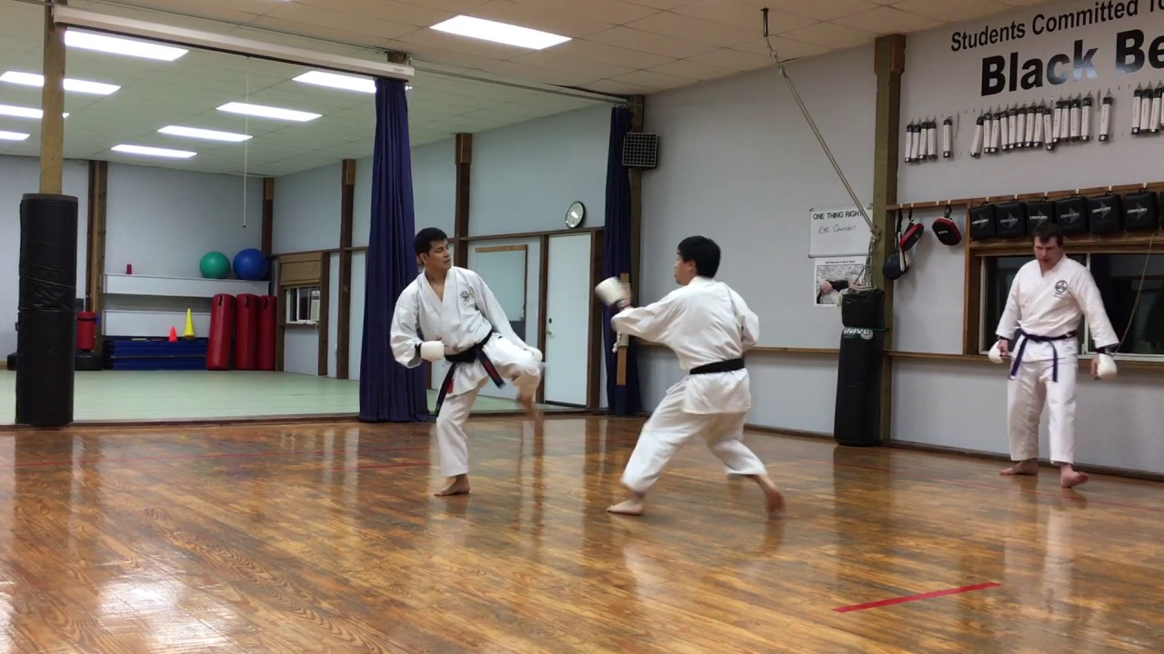 Reverse Roundhouse Kick to Spin Back Kick. - YouTube