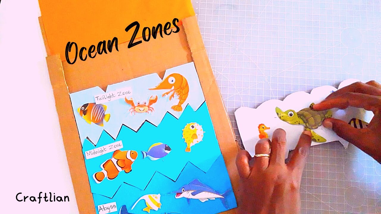 Ocean Zones Model || Science Craft for Primary Class - YouTube