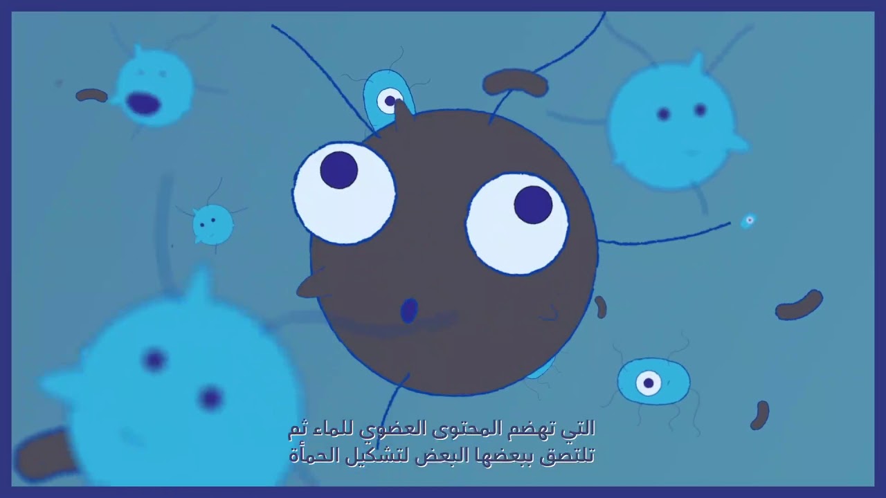 Ajman Sewerage Bring Water to Life - YouTube