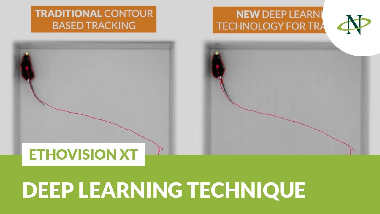 Deep learning versus contour based tracking | EthoVision XT 17 - YouTube