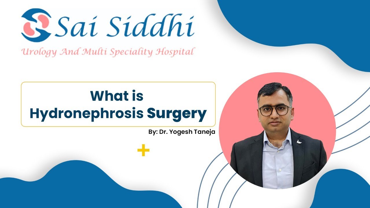 What is Hydronephrosis? | Swelling of Kidney | Best Urologist in ...