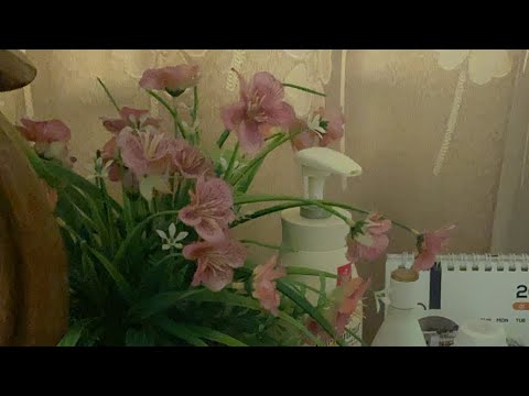 Nipa's kitchen & vlog is live - YouTube