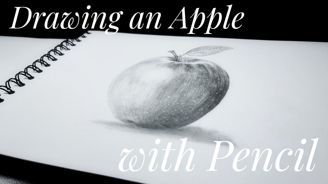How to Draw an Apple with Pencil - how to Shade - YouTube