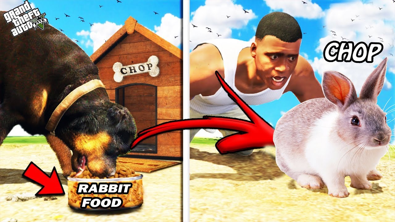 GTA 5 : Chop Become Rabbit By Magic in GTA 5 ! (GTA 5 mods) - YouTube