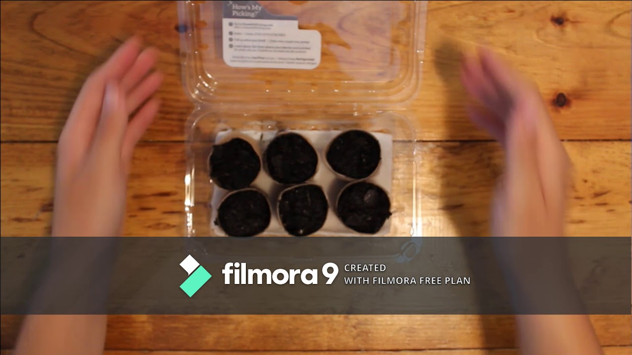 Strawberry Germ Pods - YouTube