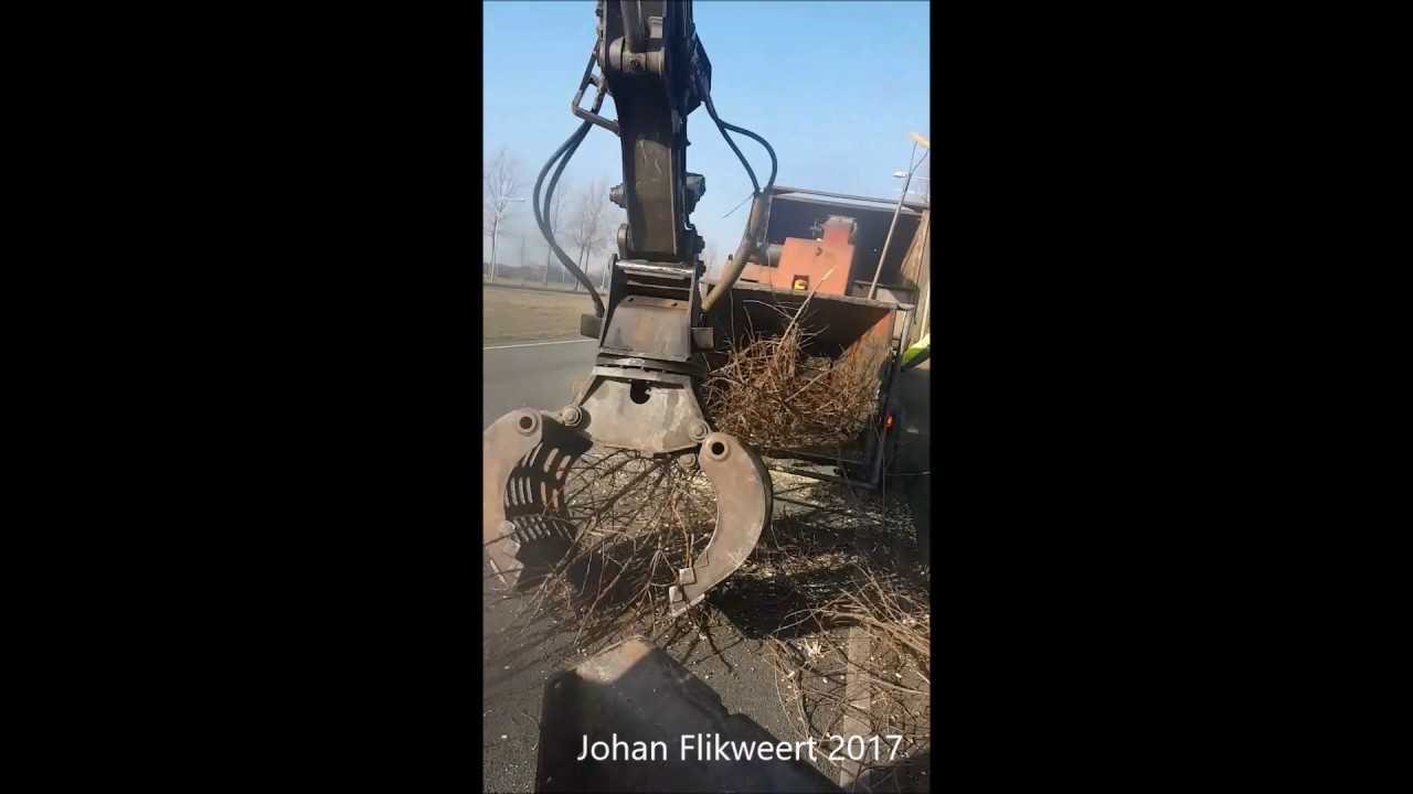 Bomen snipperen in Amsterdam Westpoort - YouTube