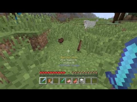 How to get more COOKED food from animals in Minecraft! - YouTube