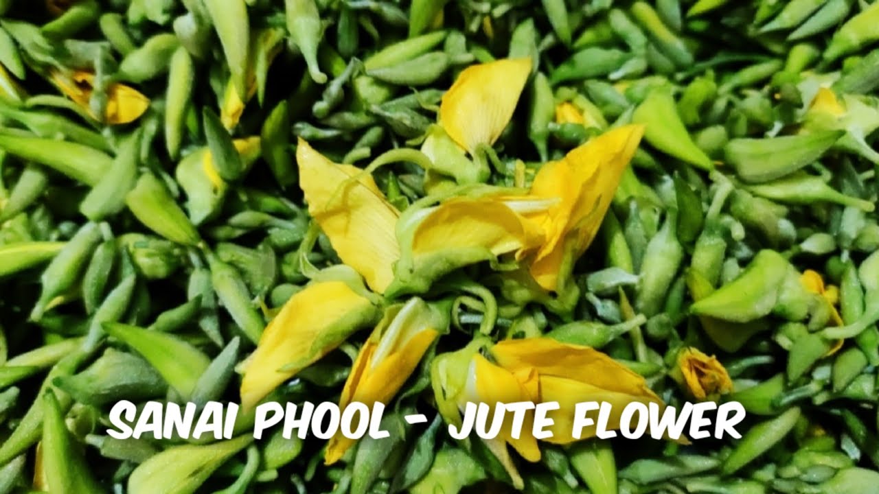 Sanai phool recipe/Jute flower recipe/village style cooking recipe # ...