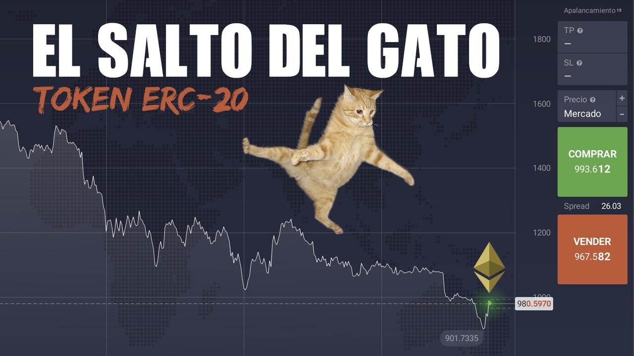 El Salto del Gato | ¿Qué esta pasando con el Token ERC-20? | Estamos en ...