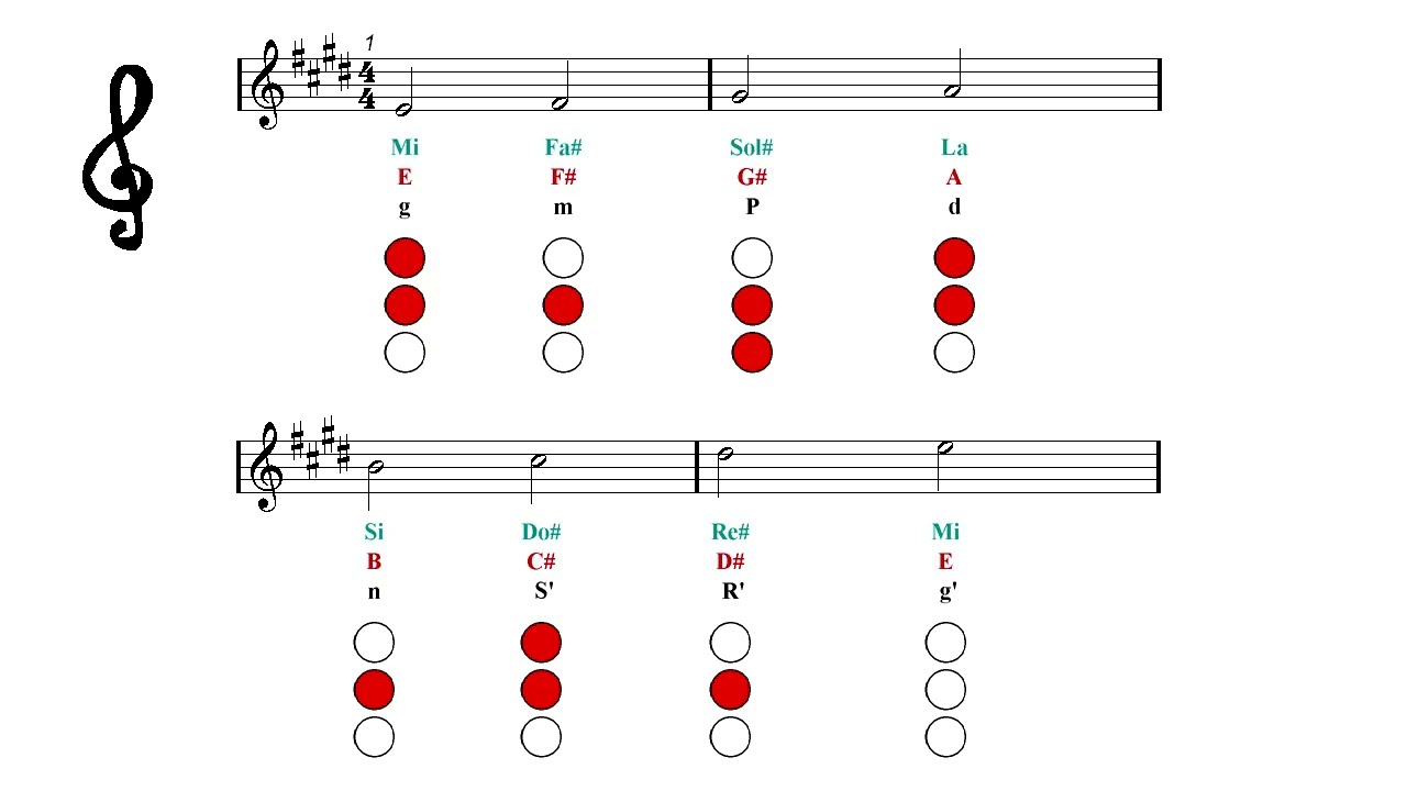 Circle Of Fifths Scales Trumpet