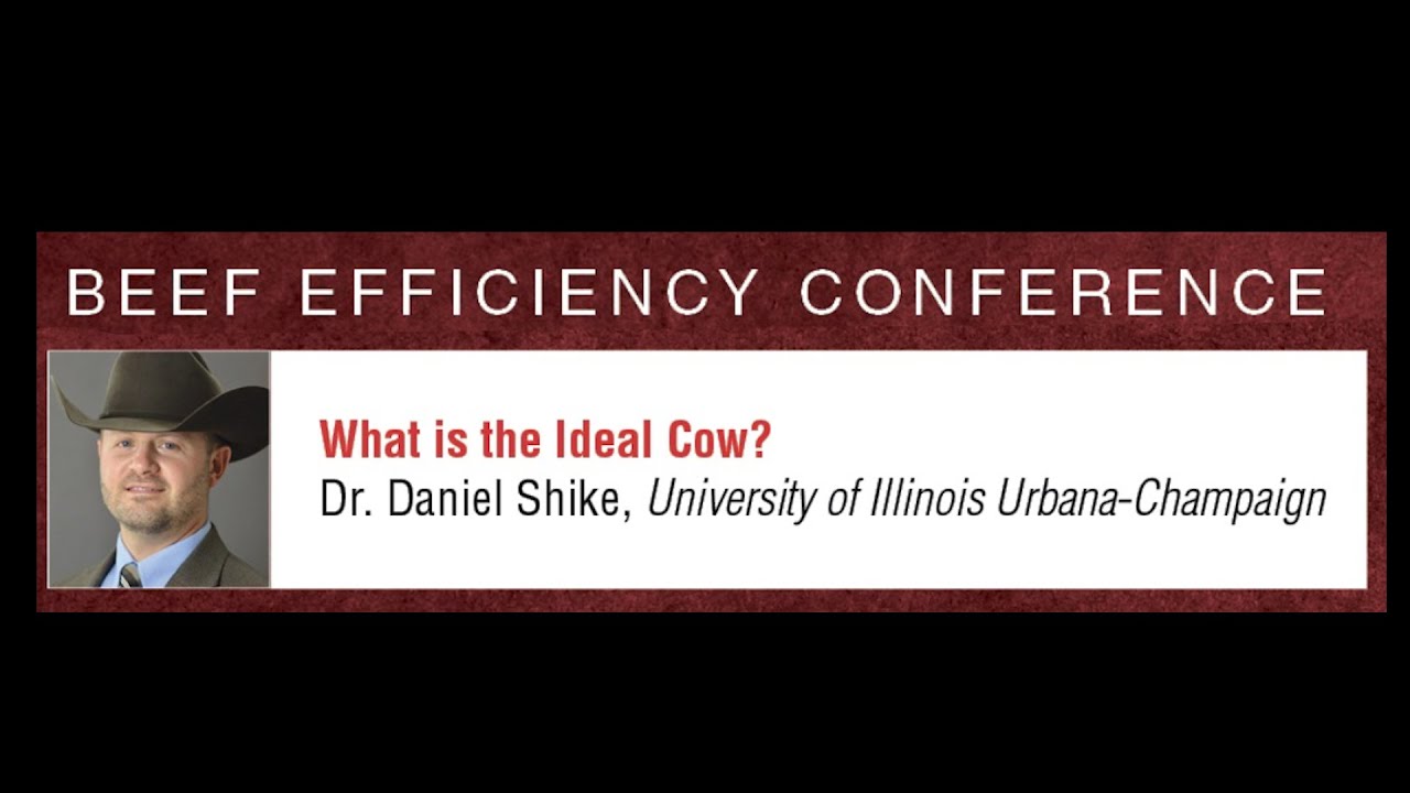 Dr. Daniel Shike, University of Illinois Urbana-Champaign, Beef ...