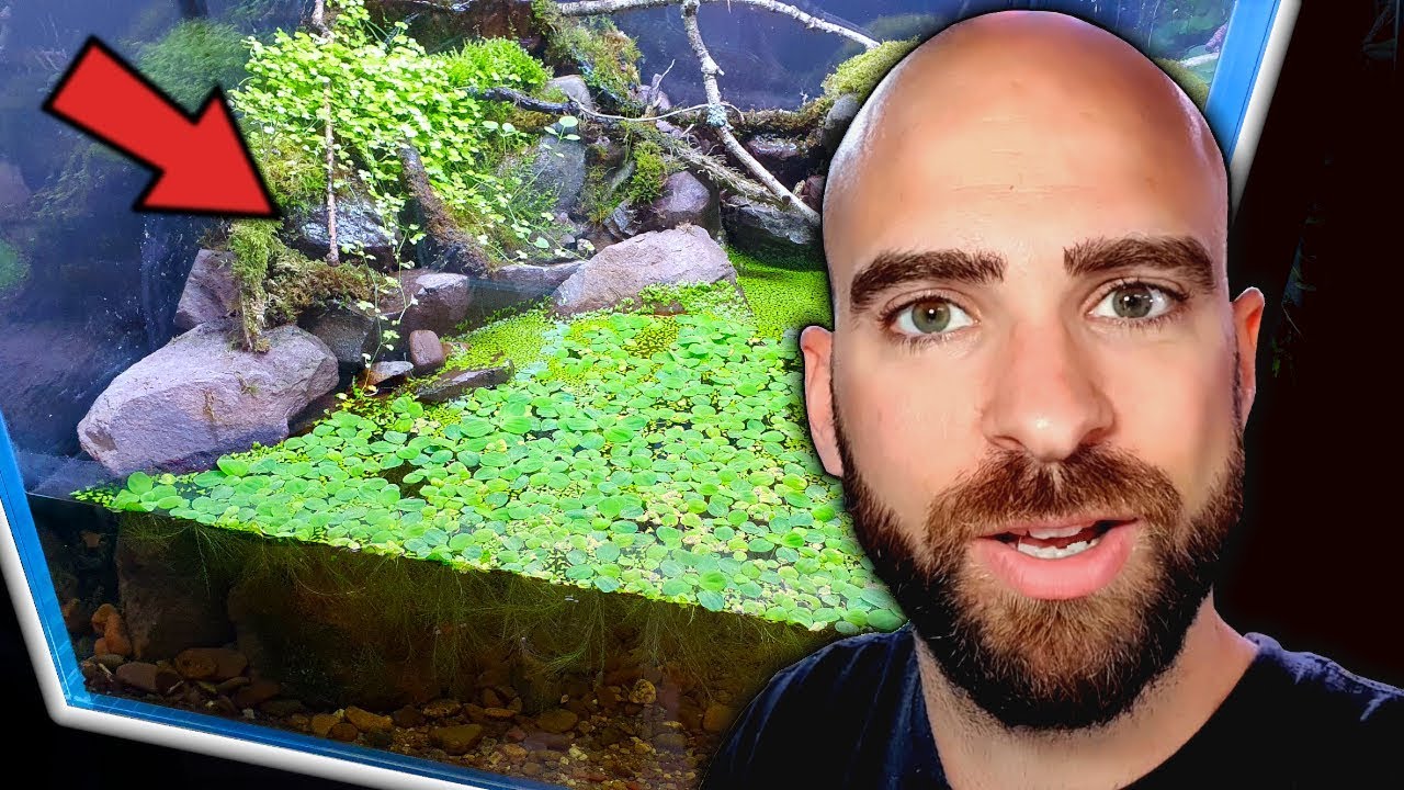 DESTROYED!! ENOUGH IS ENOUGH! MD FISH TANKS - YouTube