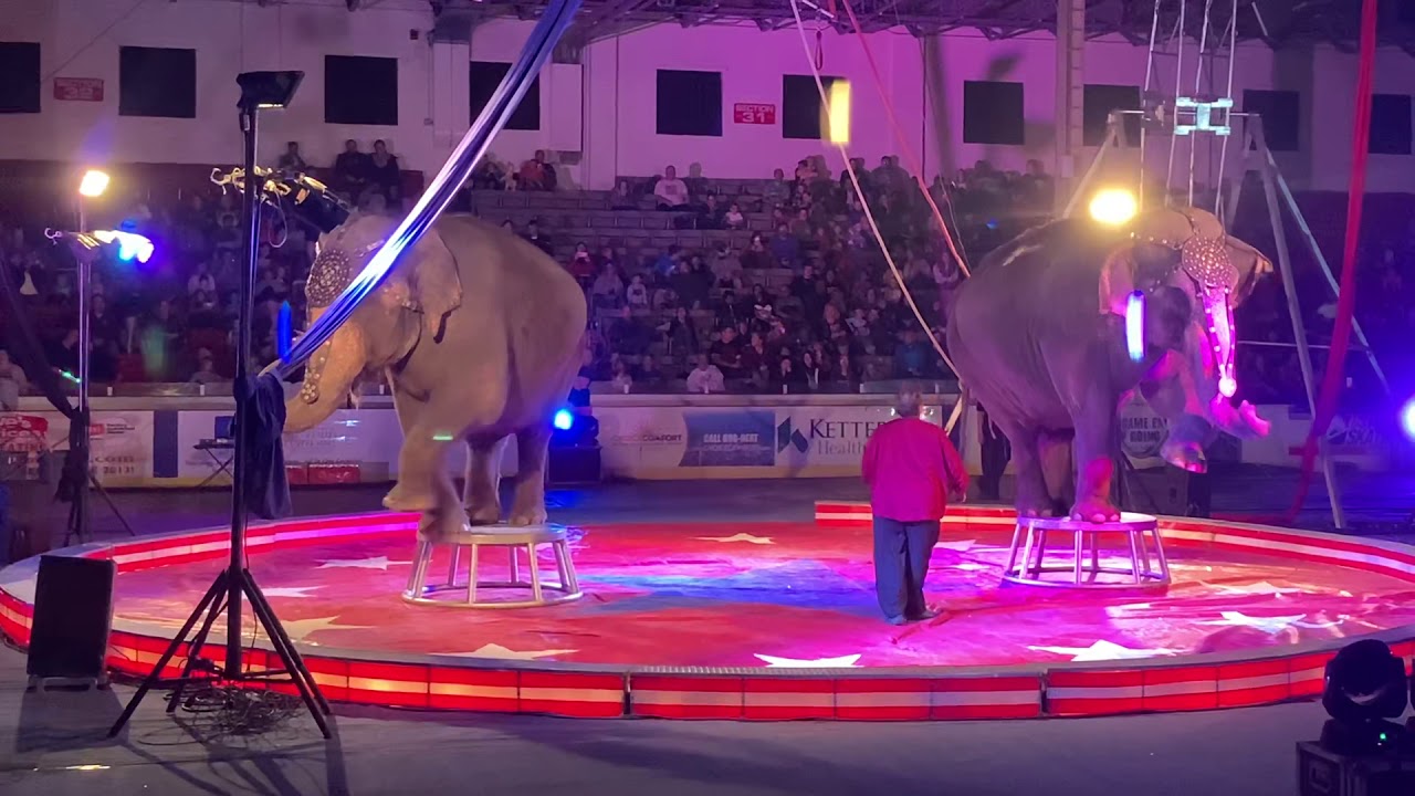 Jordan World Circus Elephant Performance, 16 October 2019, Troy, Ohio w ...