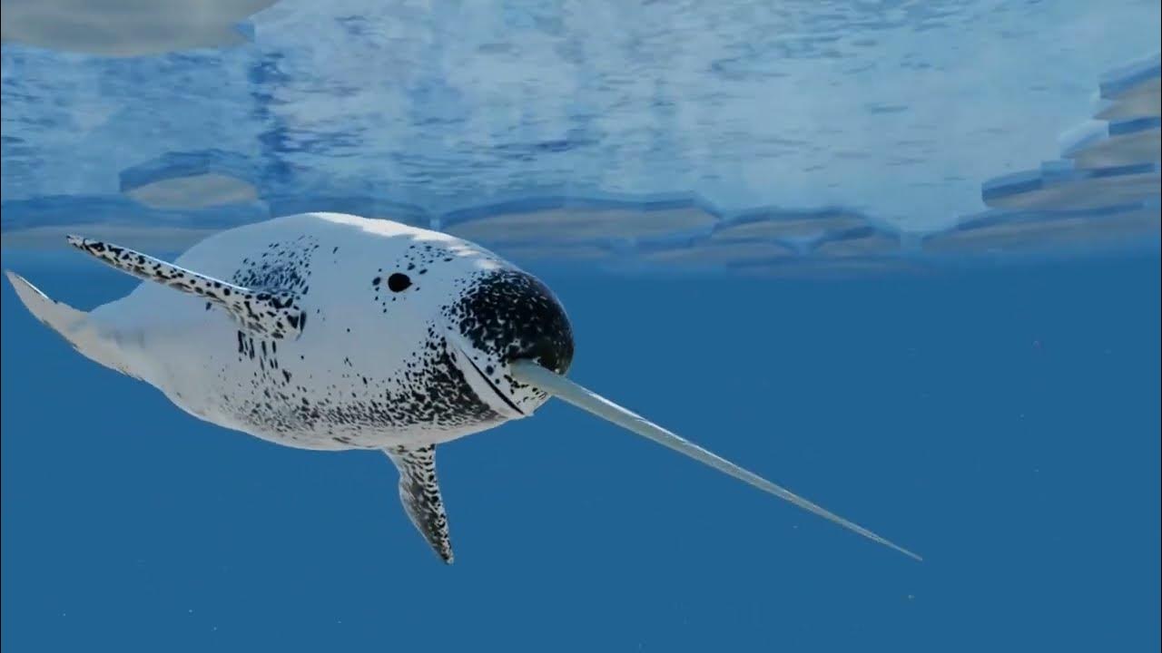 10 Fascinating Facts about Narwhals: For Ocean Lovers, Students ...