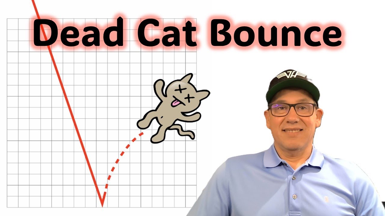 Dead Cat Bounce on Friday? - YouTube