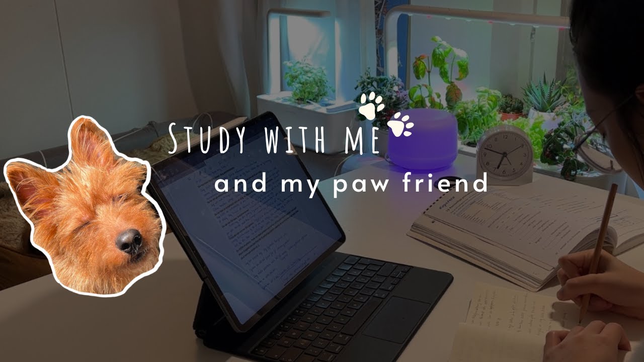 STUDY WITH ME & MY FURRY FRIEND 🐶 NO MUSIC | 2 HOURS - YouTube
