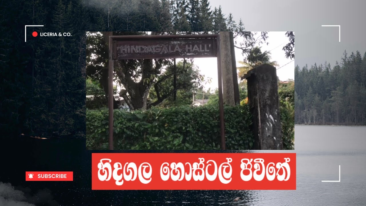 Campus හොස්ටල් ජිවීතේ කොහොමද කියලා බලමුද 😎 hidagala hostel life in ...