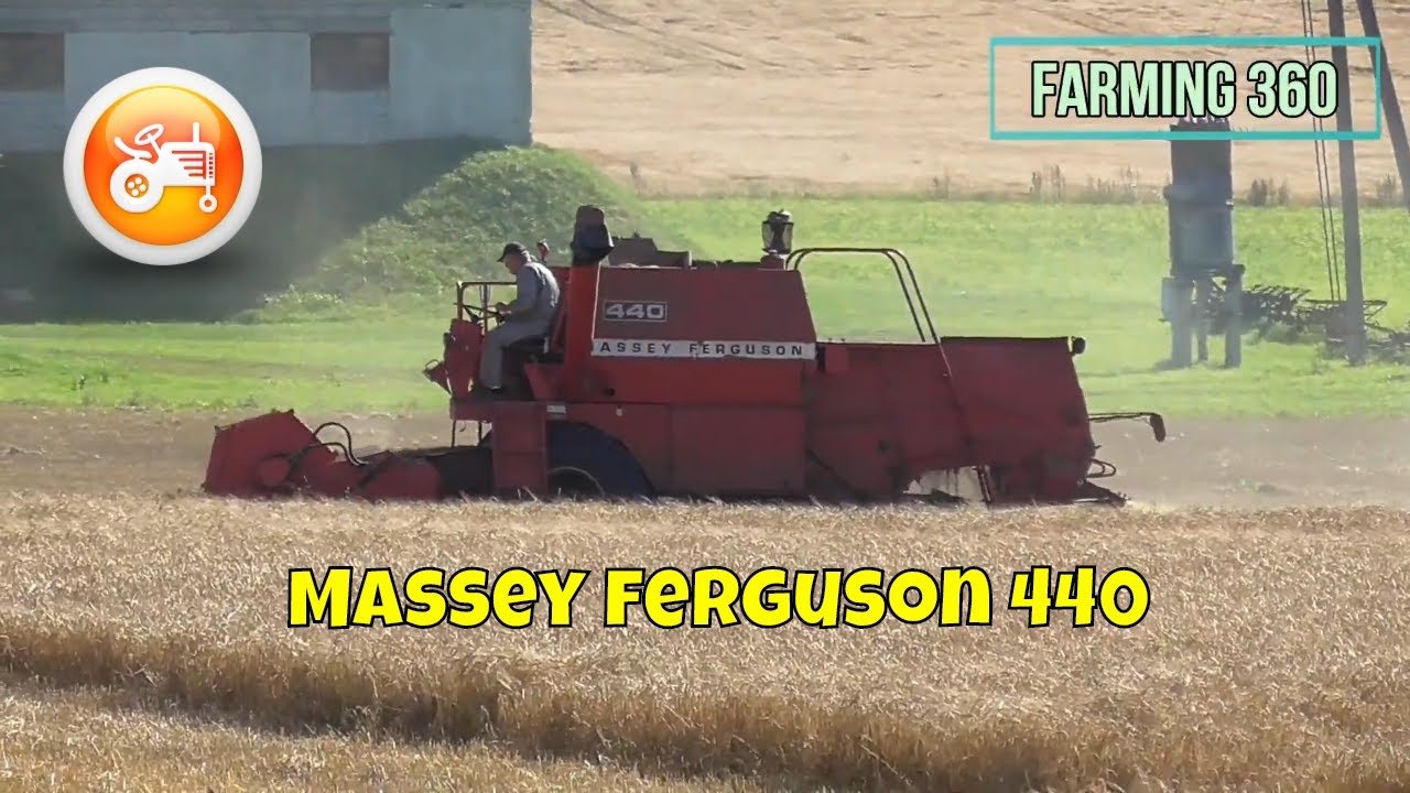 Harvest 2020 | Massey Ferguson 440 combine working - YouTube