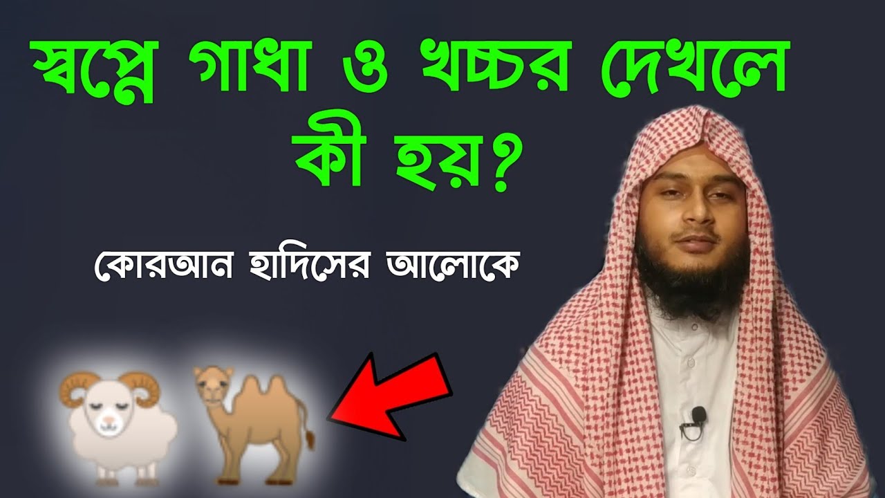 স্বপ্নে গাধা দেখলে কি হয় | স্বপ্নে খচ্চর দেখলে কি হয় | swpne ghadha ...