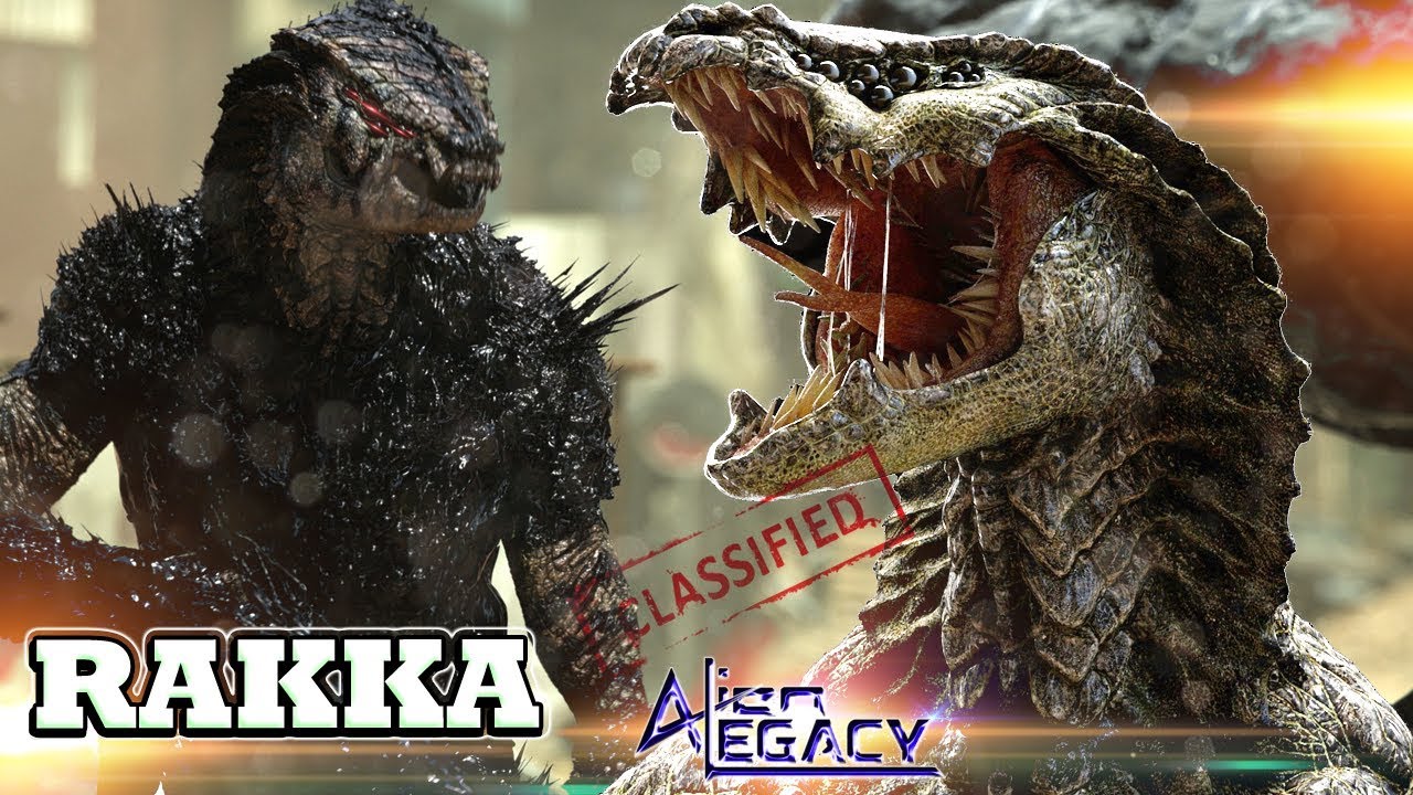 ¿Que son los RAKKA? || Oats Studio - EXPLICADO - YouTube