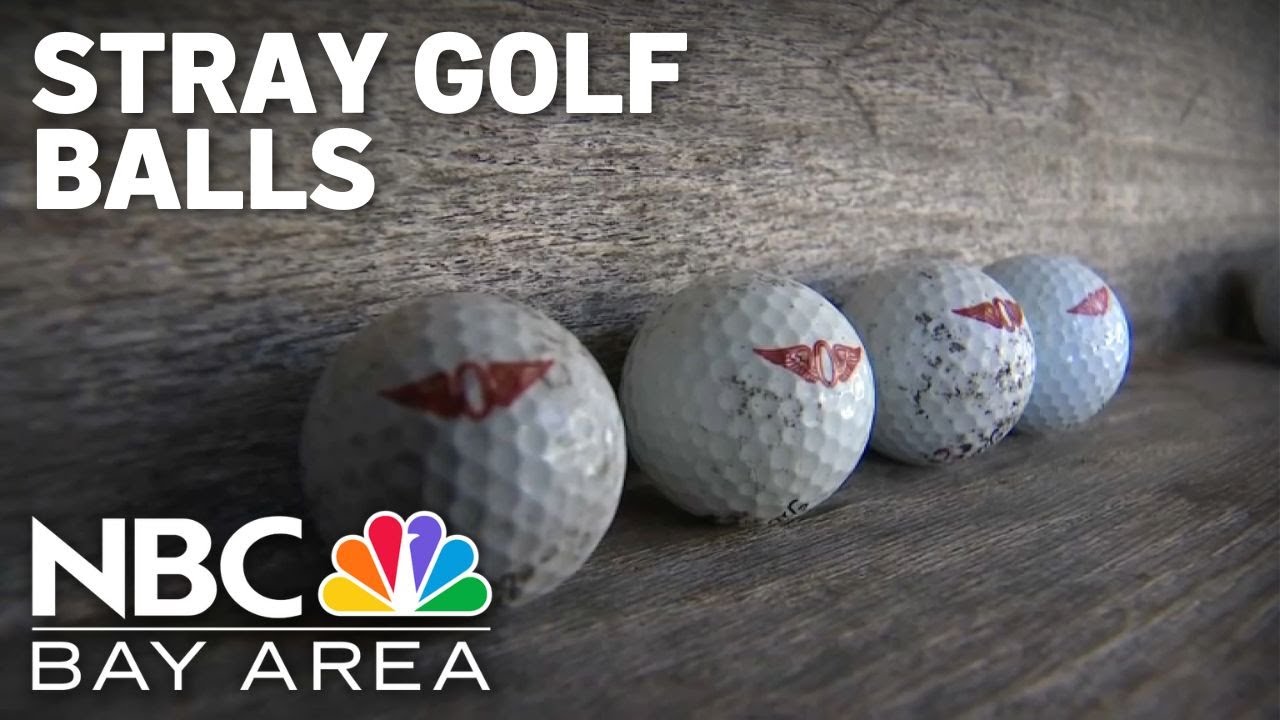 Business owner wants San Francisco golf club to install safety net to ...