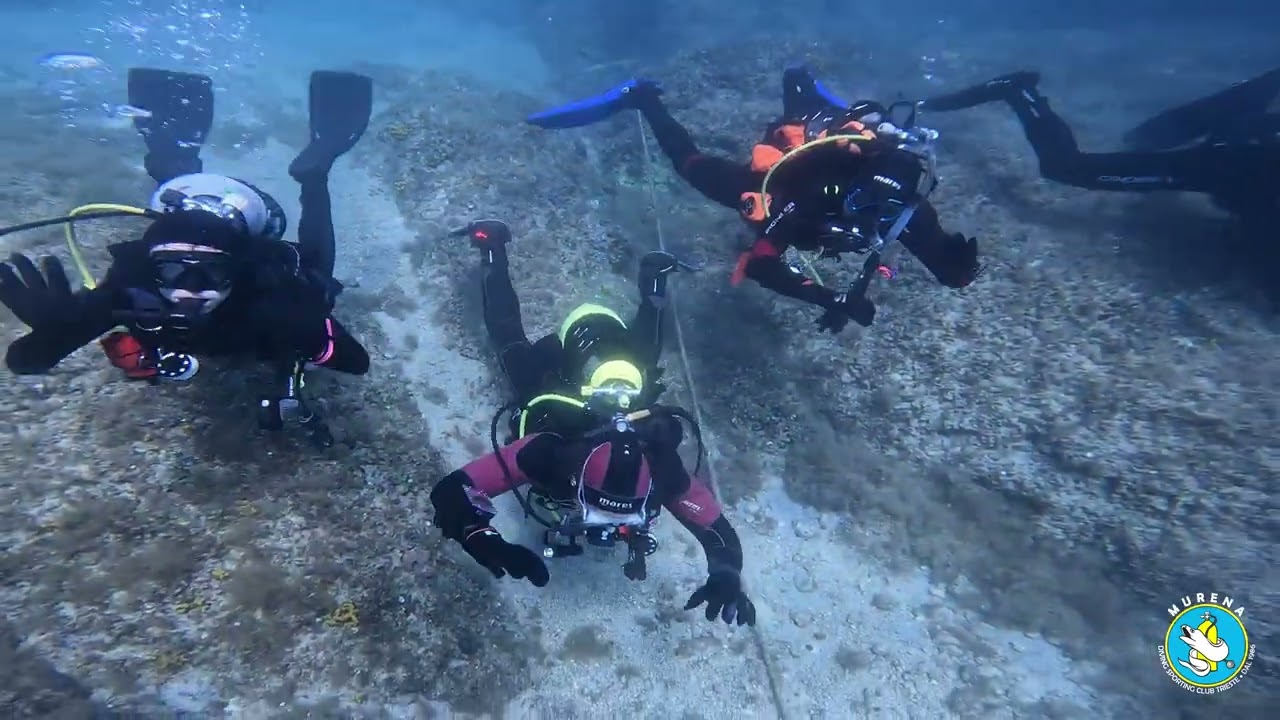 Foto e Video | Murena Diving Sporting Club Trieste