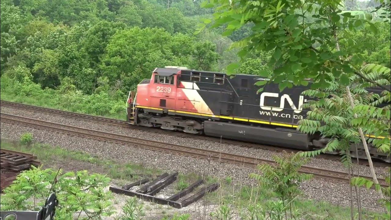 Bayview jct, Hamilton, Ontario. Cn 2239, 3282 & 2860 (beat up zebra stripe) leading uphill ...