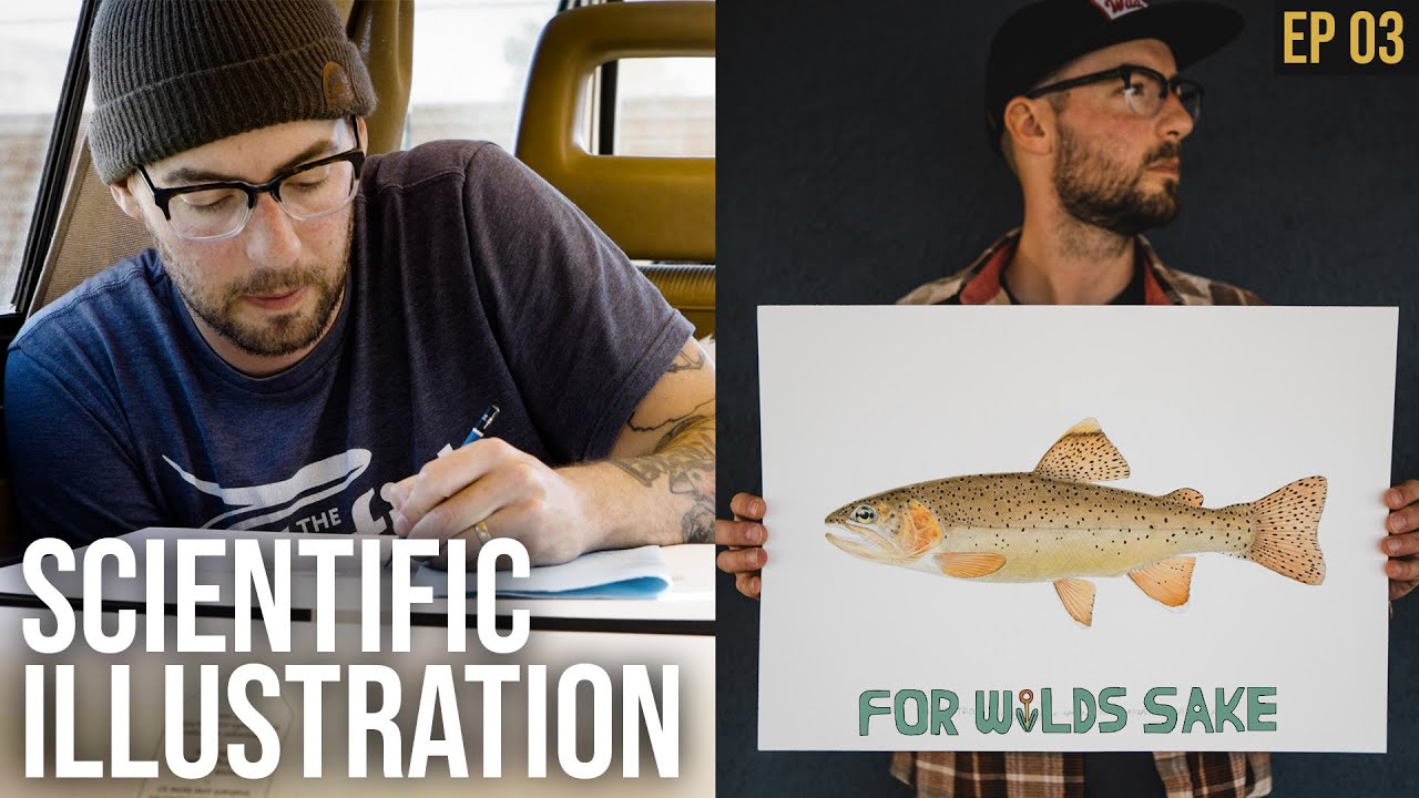 HOW TO ILLUSTRATE AN APACHE TROUT IN WATERCOLOR | For Wild's Sake ...