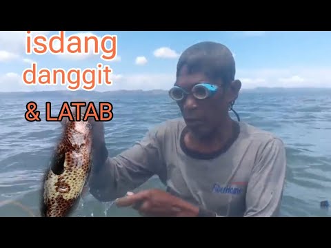 PANLALAMBAT NG MGA SARIWANG ISDA SA MASBATE | JOBETH KITCHEN - YouTube