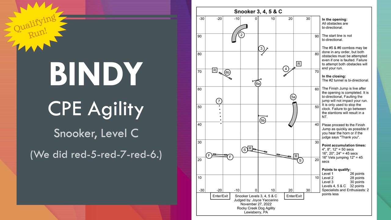 Bindy - CPE Agility - Snooker, Level C - 2022.11.27 - YouTube