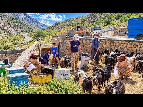 IRAN nomadic life | daily routine village life of Iran | Nomadic lifestyle of Iran