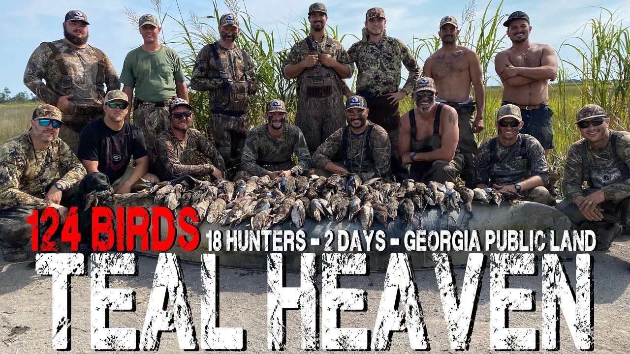 EPIC EARLY TEAL SEASON HUNT | Teal Season 2021 | Georgia Public Land ...