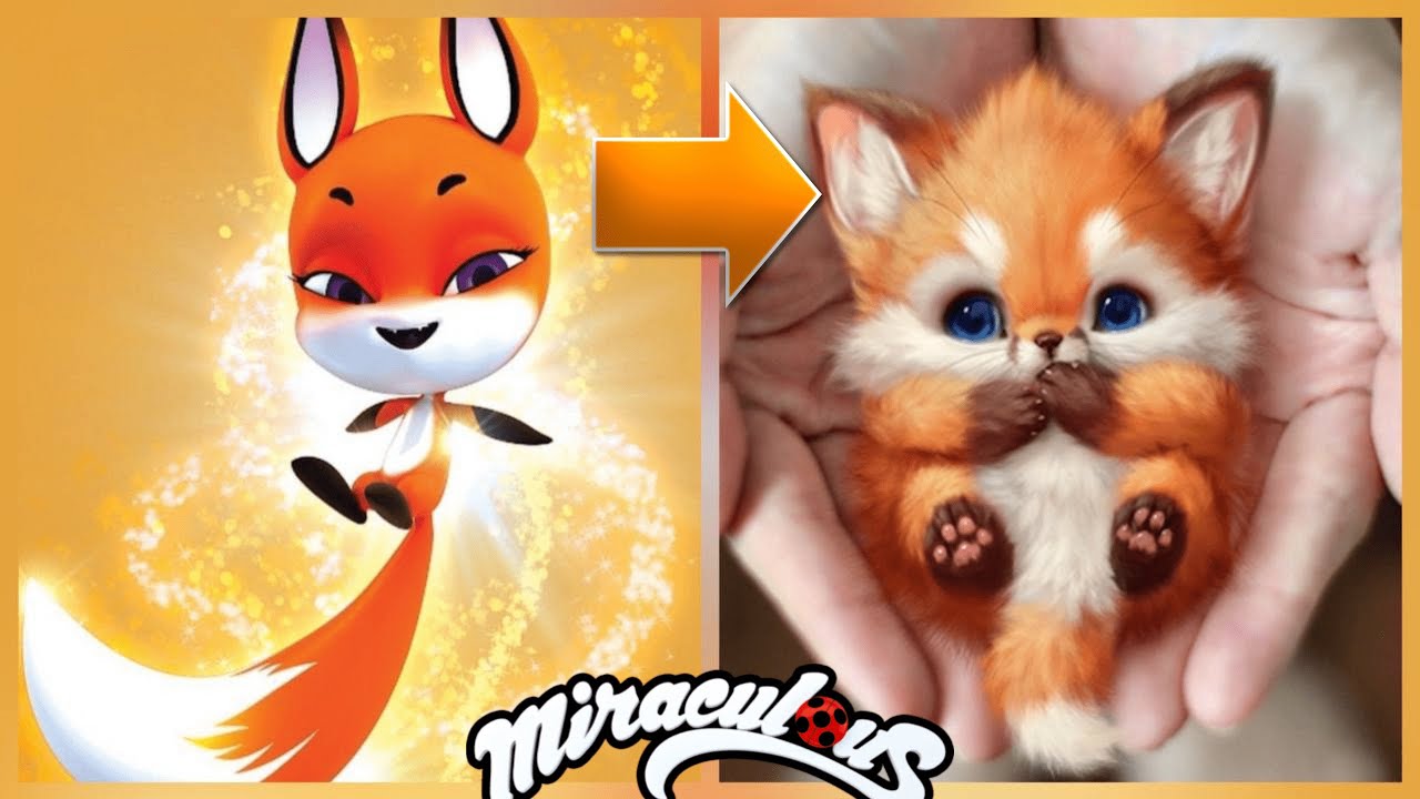 Miraculous Ladybug Kwamis | Characters IN REAL LIFE - YouTube