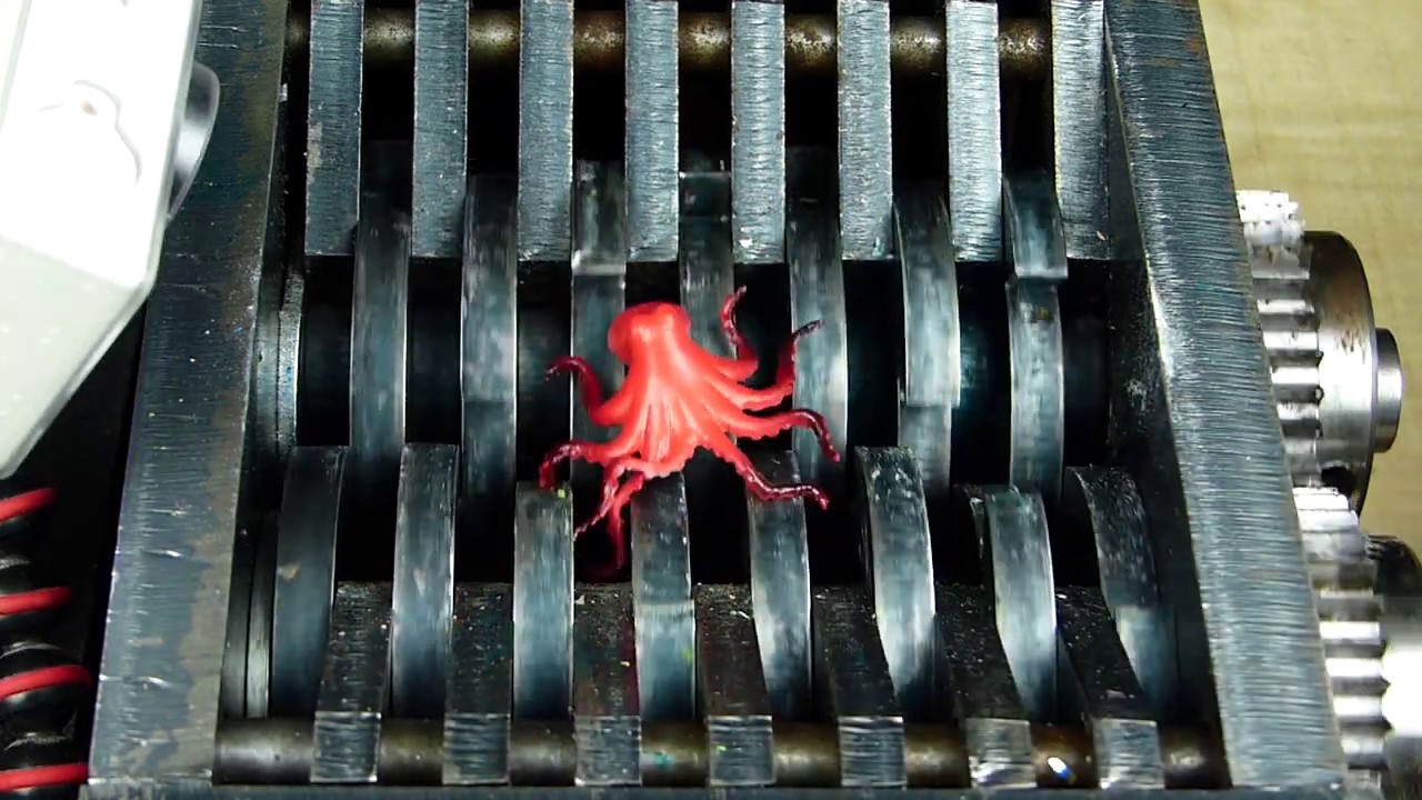 SHREDDER VS SEA ANIMALS OCEAN WORLD | SATISFYING - YouTube