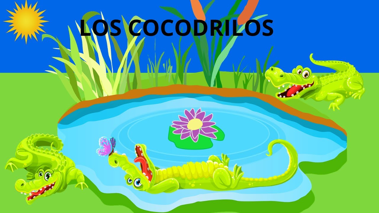 LOS COCODRILOS PARA NIÑOS/ EL COCODRILO/ DIA MUNDIAL DEL COCODRILO/ EN ...