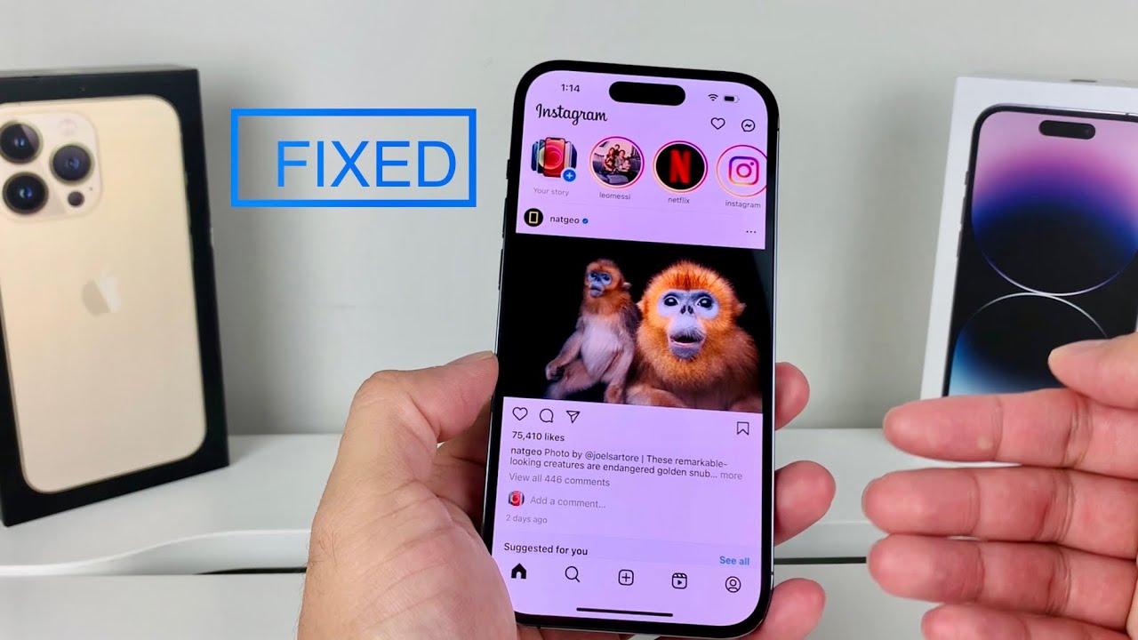 How to Fix Instagram Lagging on iPhone - YouTube