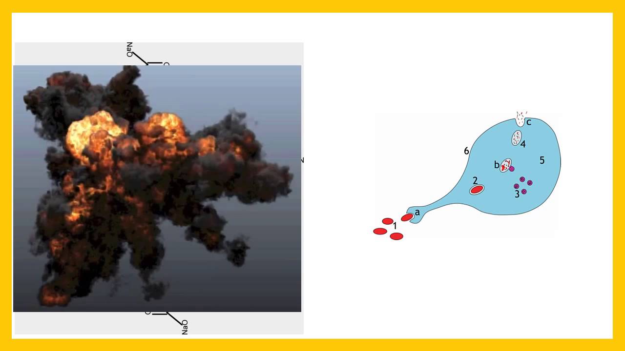 Toxic and Therapeutic Relation of Gold Nanoparticle Exposure Through ...