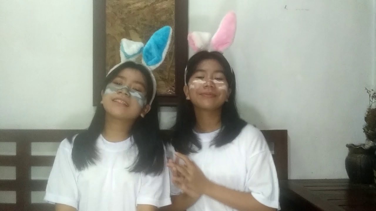 Twin Sisters Youtube