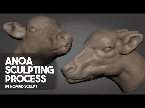 Anoa Head - Sketch - Sculpting Process - YouTube