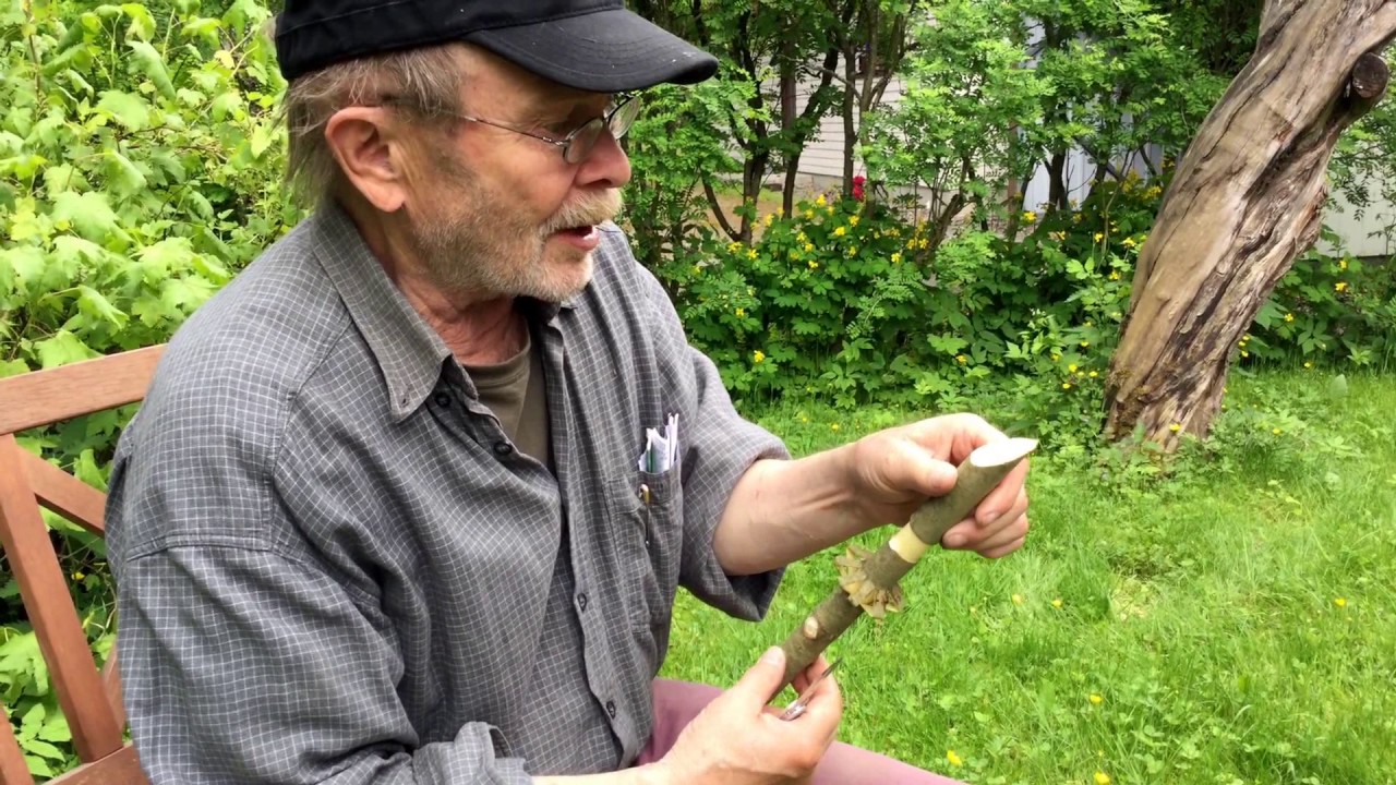 Koristeltu pajupilli, Decorated willow flute - YouTube