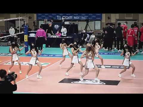 우리카드배구,치어리더공연