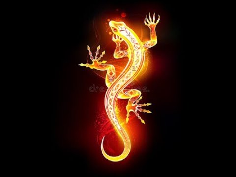 Yoga with the Salamander - YouTube